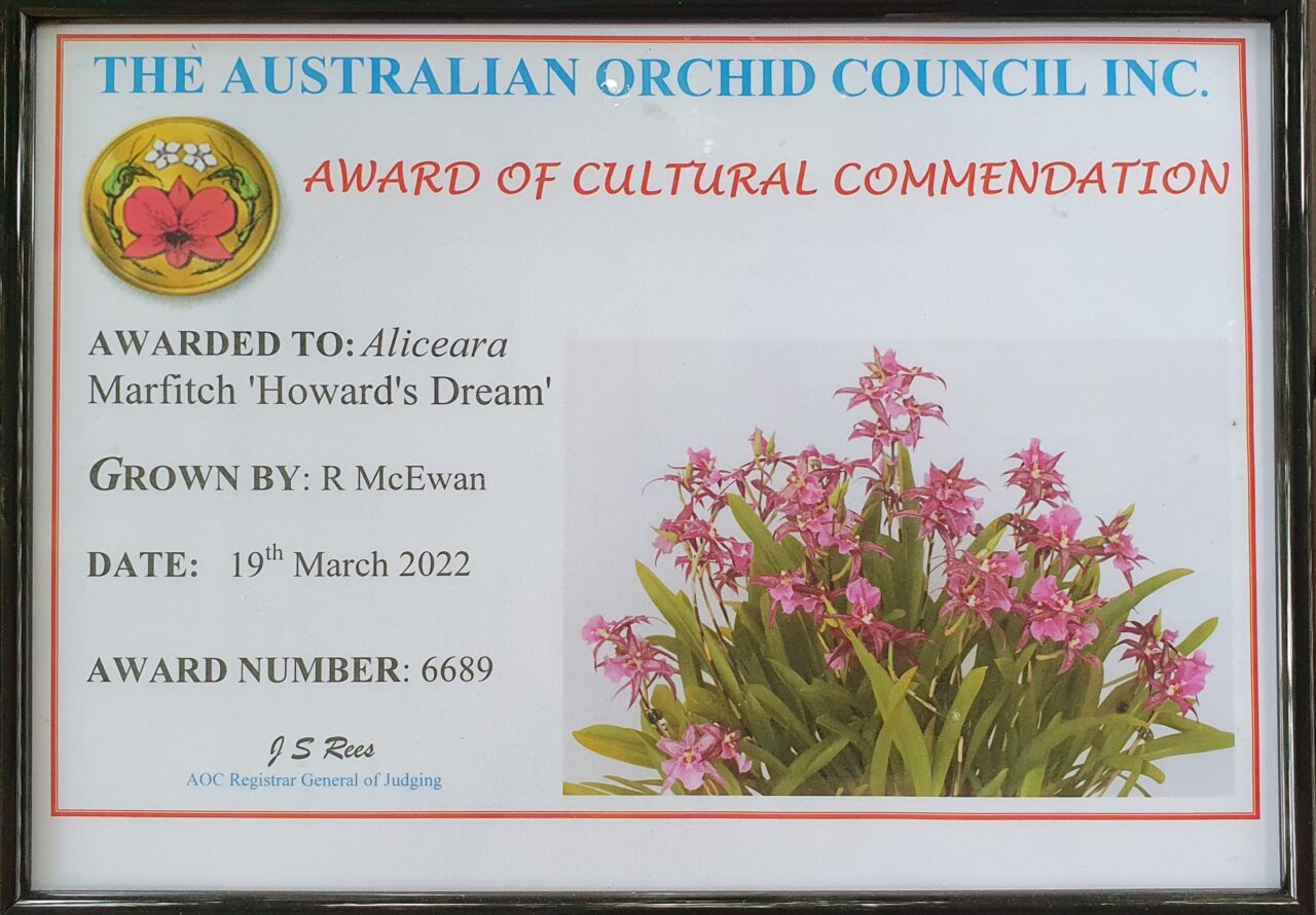 Members & awards | Noosa District Orchid & Foliage Society